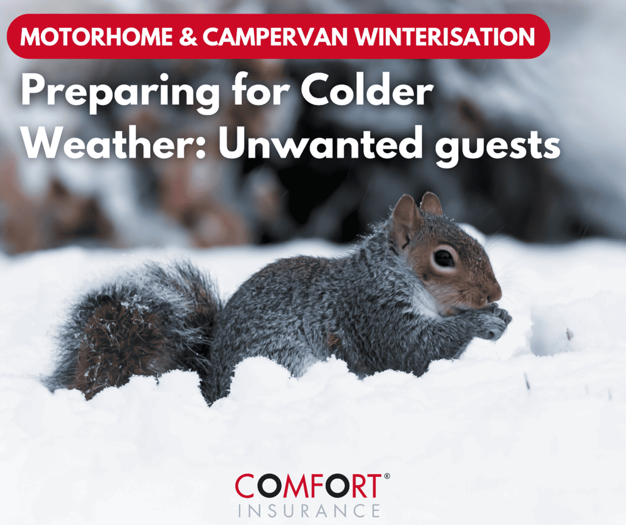 The Ultimate Motorhome & Campervan Winterisation Guide - Comfort Insurance®